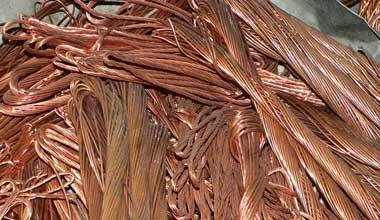 Luci spente nel parco, rubano i fili di rame Il Tirreno