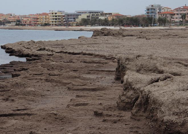 Posidonia spiaggiata, c’è la soluzione La Nuova Sardegna