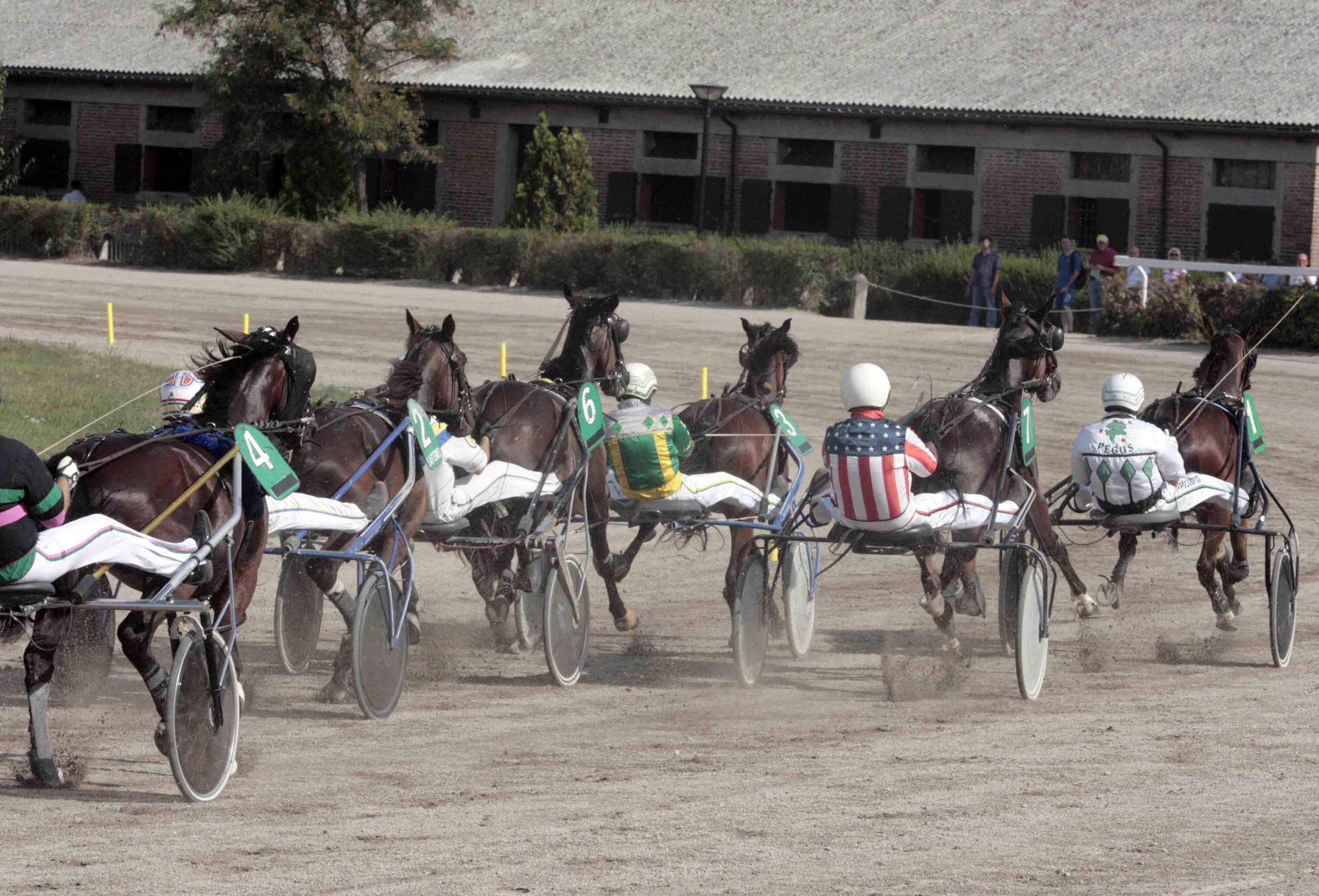 Tornano le corse al trotto all'ippodromo La Nuova Ferrara
